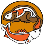 Berens River | Southeast Child & Family Services